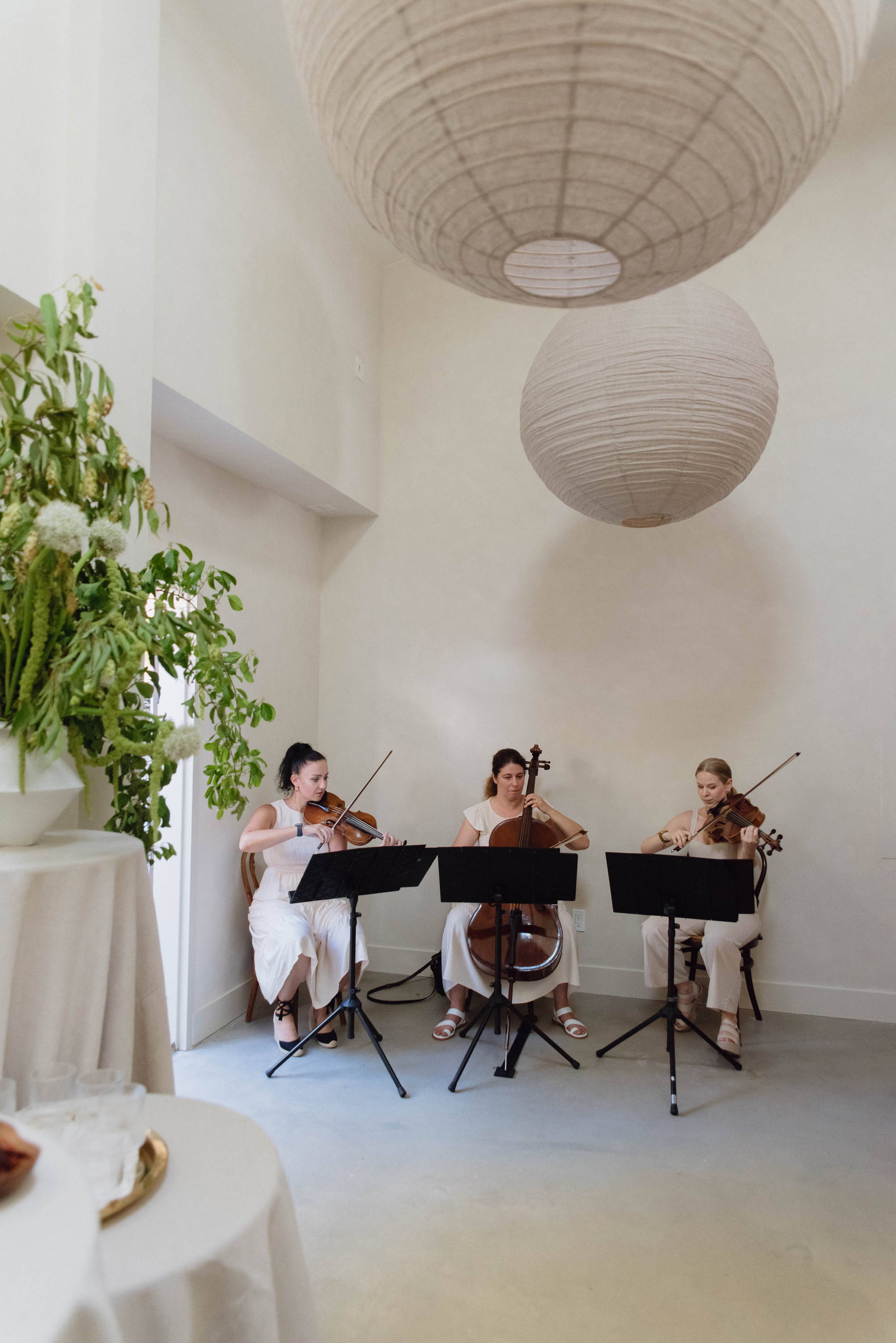 WLW Origins (Part Three) – The Well Lived Woman